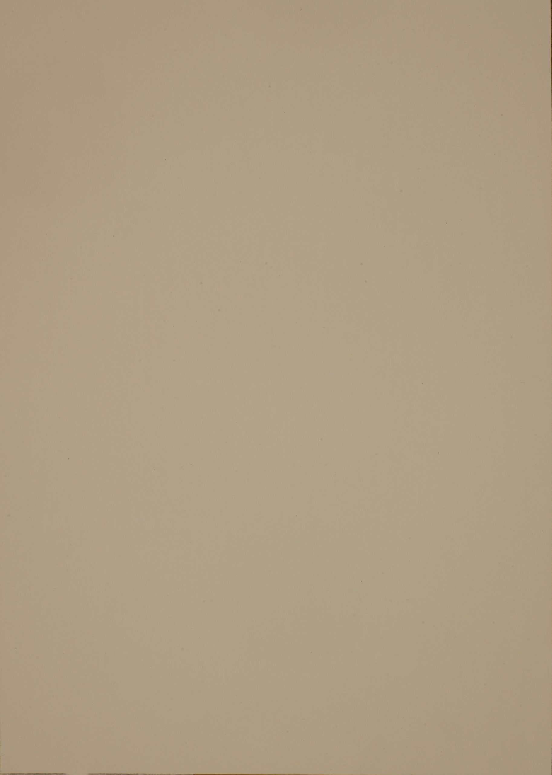 0719 BEIGE LUXOR - Фасады брендов
